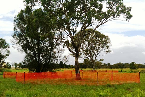 Tree Protection Zone Fencing | SEQ & Melbourne | The Advanced Group